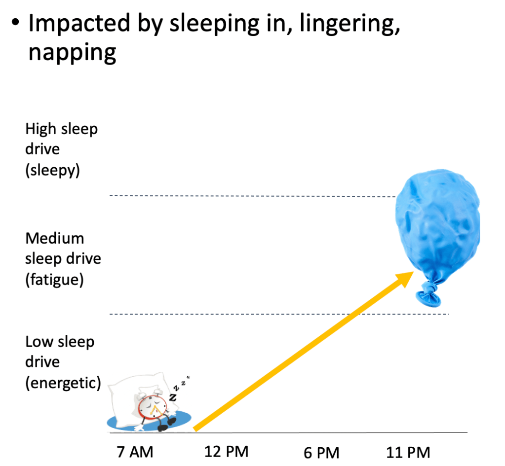 The Three Causes of Insomnia and How to Fix Them – Simply mental health
